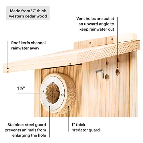 WHITEHORSE Premium Cedar Bird House - Weatherproof Design with a 15 sq inch Floor - A Bluebird Box House Built to NABS Specs - Enjoy Bird Watching While Supporting Birds (EABL)