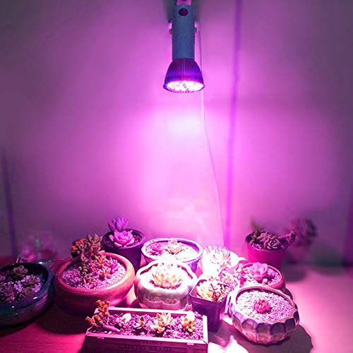 Junluck from Seeding to Harvest Plant Grow Light, Grow Lamp, DIY Hydroponics, Bonsai for Small Grow Box for Greenhouse Hydroponic Indoor Plants Veg Flower Grow Tent