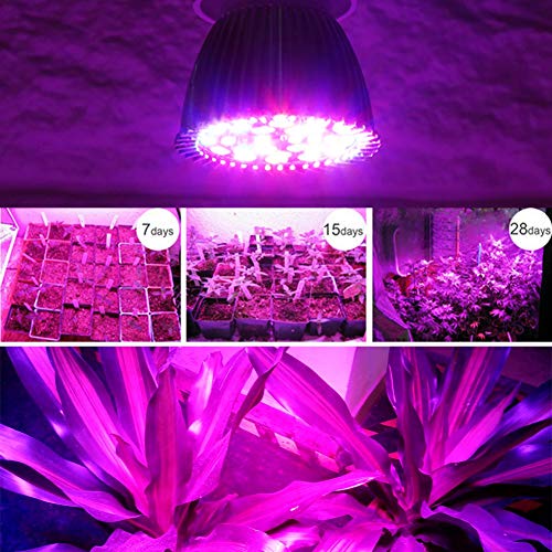 Junluck from Seeding to Harvest Plant Grow Light, Grow Lamp, DIY Hydroponics, Bonsai for Small Grow Box for Greenhouse Hydroponic Indoor Plants Veg Flower Grow Tent