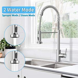 Kitchen Faucets with Pull Down Sprayer, Brushed Nickel Commercial Spring Kitchen Sink Faucet High Arc, Single Handle Stainless Steel Pull Out Faucets for Kitchen Sinks Sliver (2001C Plus)