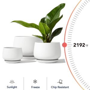 LE TAUCI Ceramic Plant Pots, 4.1+5.1+6.5 inch, Set of 3, Planters with Drainage Hole and Saucer, Indoor Flower Pot with Hole Mesh Pad, Gifts for Mom, White