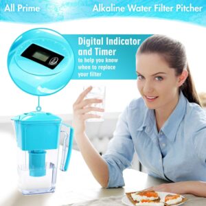 All Prime 2.5 Liter Alkaline Water Filter Pitcher with 2 Replacement Alkaline Water Filter, pH and Alkalinity Test Strips - Alkaline Water Filter Pitchers for Drinking Water