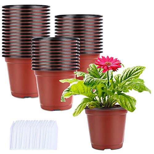 Augshy 250-Pack 4 Inch Plant Nursery Pots Seed Starting Pots Containers with 300 Labels for Indoor Outdoor Usage