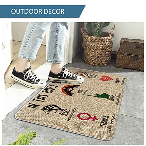 Artoid Mode in This House We Believe Decorative Doormat, Seasonal LGBT Science Feminism Humans Kindness Low-Profile Floor Mat Switch Mat for Indoor Outdoor 17 x 29 Inch