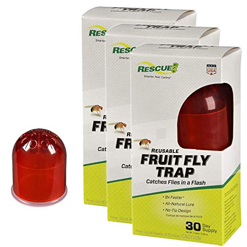 RESCUE! Fruit Fly Trap – Reusable, Includes Liquid Bait Attractant - 3 Pack (3 Traps)