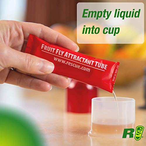 RESCUE! Fruit Fly Trap – Reusable, Includes Liquid Bait Attractant - 3 Pack (3 Traps)