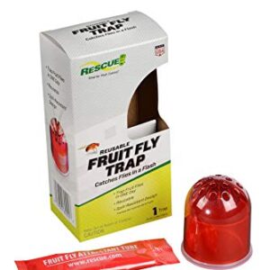 RESCUE! Fruit Fly Trap – Reusable, Includes Liquid Bait Attractant - 3 Pack (3 Traps)