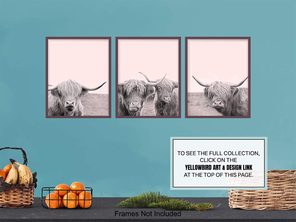 Cow Wall Decor - Cow Decorations for Home, Kitchen, Bathroom, Bedroom, Living Room, Apartment, Office - Highland Cow Gift for Women - Cute Unique Boho Cow Wall Art - 8x10 Pink Photo Picture Set