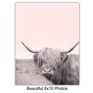 Cow Wall Decor - Cow Decorations for Home, Kitchen, Bathroom, Bedroom, Living Room, Apartment, Office - Highland Cow Gift for Women - Cute Unique Boho Cow Wall Art - 8x10 Pink Photo Picture Set