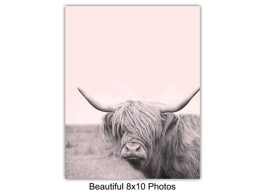 Cow Wall Decor - Cow Decorations for Home, Kitchen, Bathroom, Bedroom, Living Room, Apartment, Office - Highland Cow Gift for Women - Cute Unique Boho Cow Wall Art - 8x10 Pink Photo Picture Set