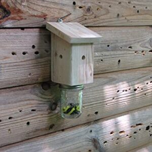 Carpenter Bee Trap Lure Attract More Bees to Your Traps All Natural Wood Bee Attractant