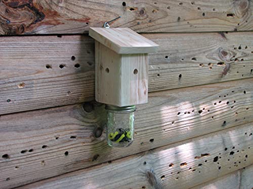 Carpenter Bee Trap Lure Attract More Bees to Your Traps All Natural Wood Bee Attractant