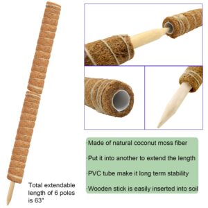 6 Pcs Moss Pole Plant Support 15.7 Inch and 12 Inch, Coir Moss Poles for Climbing Plants Indoor, Coco Totem Stick Extension for Potted Plants, Monstera, Creepers to Grow Upwards