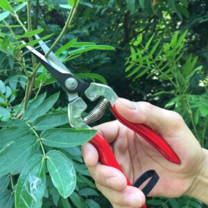 Gonicc Professional Micro-Tip Pruning Snip (GPPS-1008) and 7.3" Bonsai Scissors(GPPS-1012), For Arranging Flowers, Trimming Plants, For Grow Room or Gardening, Bonsai Tools. Garden Scissors Loppers.