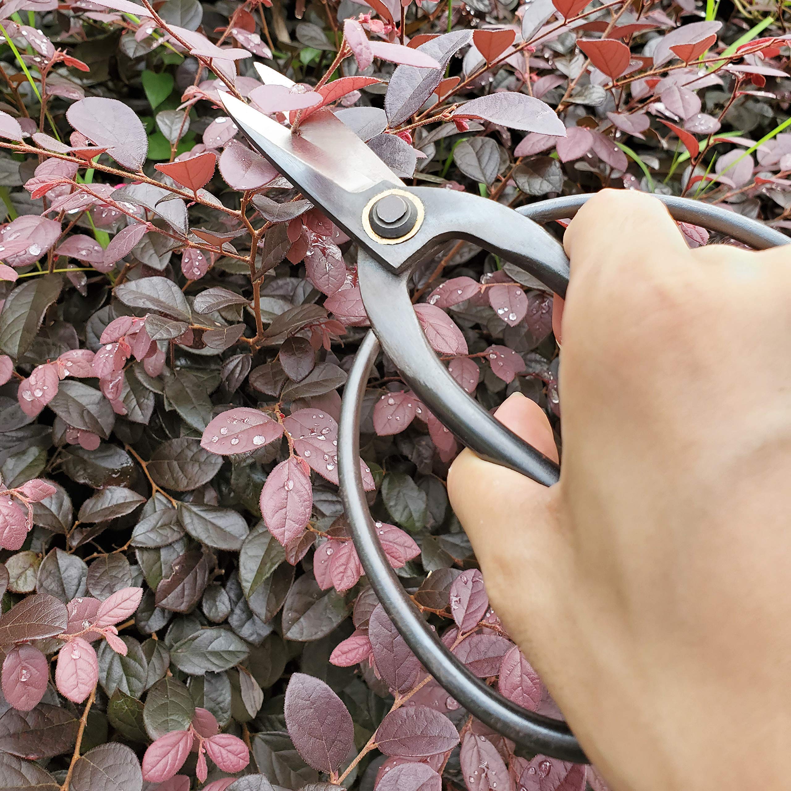 Gonicc Professional Micro-Tip Pruning Snip (GPPS-1008) and 7.3" Bonsai Scissors(GPPS-1012), For Arranging Flowers, Trimming Plants, For Grow Room or Gardening, Bonsai Tools. Garden Scissors Loppers.