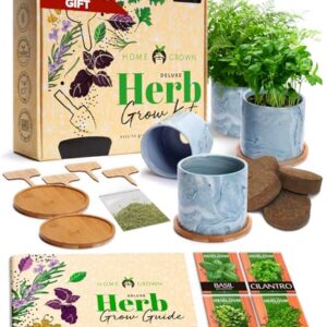 4 Herb Garden Starter Kit Indoor: Complete Grow Kit w/Deluxe Ceramic Pots & Soil - DIY Herb Seeds to Plant, Window Garden Home Growing Kit - Best Plant Gifts for Women, Unique Gifts for Cooks