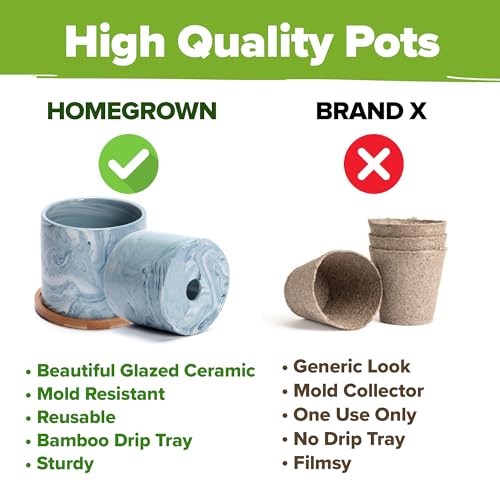 4 Herb Garden Starter Kit Indoor: Complete Grow Kit w/Deluxe Ceramic Pots & Soil - DIY Herb Seeds to Plant, Window Garden Home Growing Kit - Best Plant Gifts for Women, Unique Gifts for Cooks