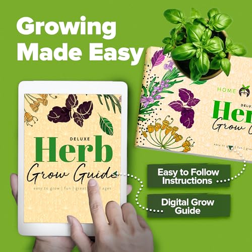 4 Herb Garden Starter Kit Indoor: Complete Grow Kit w/Deluxe Ceramic Pots & Soil - DIY Herb Seeds to Plant, Window Garden Home Growing Kit - Best Plant Gifts for Women, Unique Gifts for Cooks