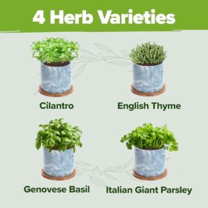 4 Herb Garden Starter Kit Indoor: Complete Grow Kit w/Deluxe Ceramic Pots & Soil - DIY Herb Seeds to Plant, Window Garden Home Growing Kit - Best Plant Gifts for Women, Unique Gifts for Cooks