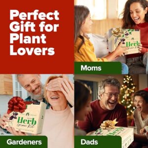 4 Herb Garden Starter Kit Indoor: Complete Grow Kit w/Deluxe Ceramic Pots & Soil - DIY Herb Seeds to Plant, Window Garden Home Growing Kit - Best Plant Gifts for Women, Unique Gifts for Cooks