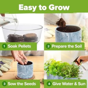 4 Herb Garden Starter Kit Indoor: Complete Grow Kit w/Deluxe Ceramic Pots & Soil - DIY Herb Seeds to Plant, Window Garden Home Growing Kit - Best Plant Gifts for Women, Unique Gifts for Cooks