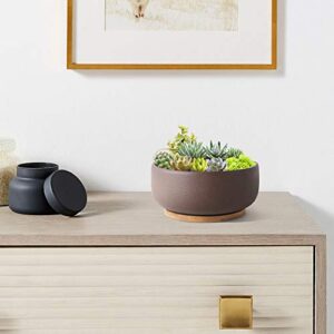 SQOWL Terracotta Bonsai Planter Pot for Succulent 8 Inch Pottery Pot Round Planter Cactus Clay Flower Pot with Drain Hole and Bamboo Tray Indoor Outdoor