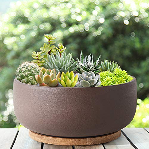 SQOWL Terracotta Bonsai Planter Pot for Succulent 8 Inch Pottery Pot Round Planter Cactus Clay Flower Pot with Drain Hole and Bamboo Tray Indoor Outdoor