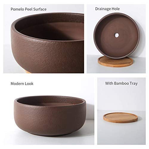 SQOWL Terracotta Bonsai Planter Pot for Succulent 8 Inch Pottery Pot Round Planter Cactus Clay Flower Pot with Drain Hole and Bamboo Tray Indoor Outdoor