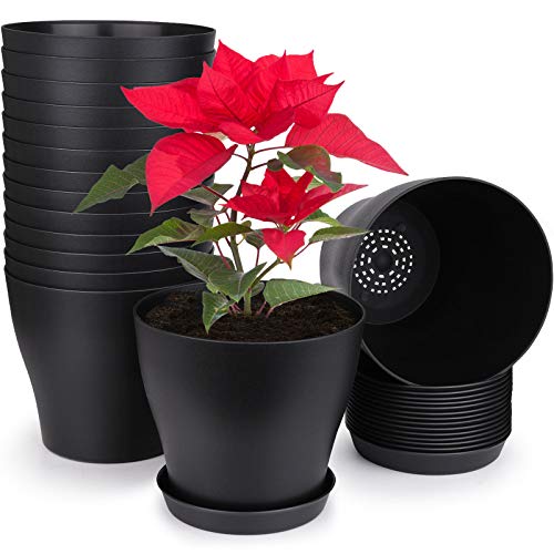 homenote Plant Pots, Set of 15 Plastic Planters with Multiple Drainage Holes and Tray 6 inch Indoor Plant Pot for All Home Garden Flowers Succulents (Black)