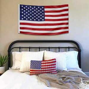 DANF American Flag 3x5 Feet USA Banner 100D Thicker Polyester US United State Flags with Brass Grommets 3 X 5 Ft