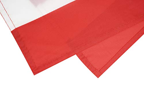 DANF American Flag 3x5 Feet USA Banner 100D Thicker Polyester US United State Flags with Brass Grommets 3 X 5 Ft