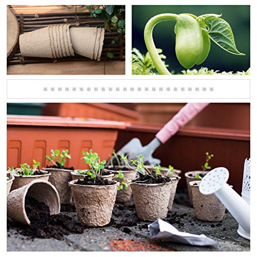 Create idea 100Pcs Fibre Plant Pot and Label Set, Transplant Seedling Pot Organic Biodegradable Eco-Friendly