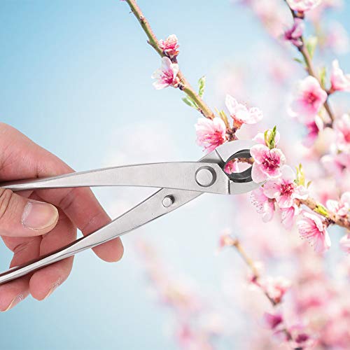 Knob Cutter Bonsai Cutter Oblique Pliers Composite Steel Cutter Concave Cutter Round Splitter Bonsai Scissors(205mm)