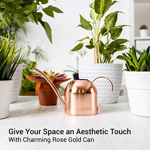 MOnu Small Metal Watering Can - Cute Mini Indoor Decorative Watering Pot for Desk Office House Plants Orchids Herbs Bonsai Succulents - Gardening Tool Sprinkler with Long Spout - 15oz/500ml Rose Gold