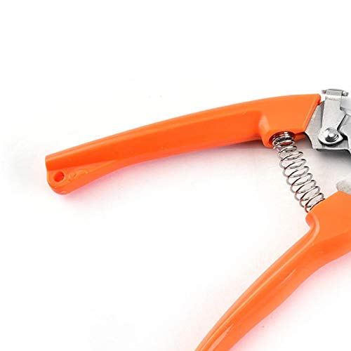 GYDXJGJ Multi-Function Creative Sharp Pruning Shears Gardening Pruning Fruit Branches Trimming Flower Trimming Tools