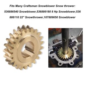 51405MA 51279MA Worm Gear & Gasket Kit Compatible With Craftsman SnowThrower for 2 Dual Stage Snowblower 536886540 536886180 601002109, Replaces MT51405MA, 51405, 9355, 204167 Models (22 Teeth)