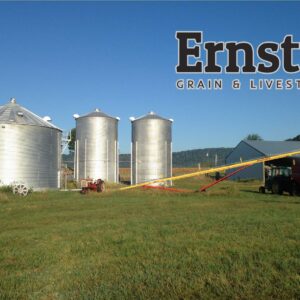 Homestead Harvest Ernst Grain Whole Corn – Perfect Feed for Deer, Squirrels, Chickens, Ducks, Rabbits, Geese, and More! (50 lb)