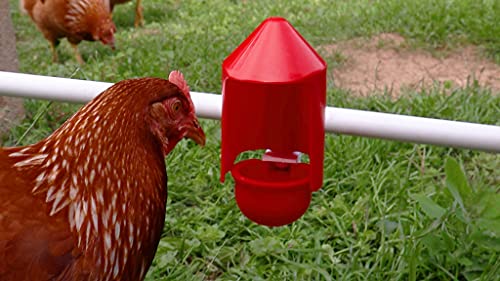 RentACoop Anti-Dirt Chicken Water Cup Covers - Compatible with Any RentACoop DIY Cups and Waterers - 6 Pack