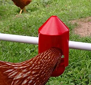 RentACoop Anti-Dirt Chicken Water Cup Covers - Compatible with Any RentACoop DIY Cups and Waterers - 6 Pack