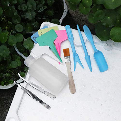 12 Pcs Bonsai Tool Set, Mini Garden Succulent Hand Tools for Indoor Miniature Fairy Care Include Tweezer, Transplanting Tools, Bucket Shovel, Cleaning Brush, Label, Elbow Drip Pot