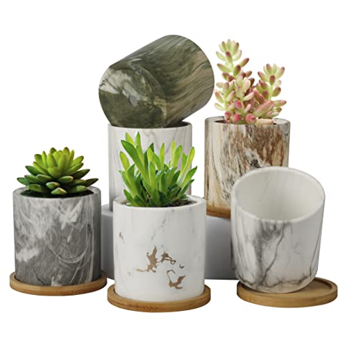 BUYMAX Succulent Plant Pots, 3.1 inch Marbling Ceramic Glazed Planters with Drainage Hole, Small Flower Pot Indoor with Bamboo Tray for Cactus, House Office Decor Gift - 6 Pack (Marble-B)