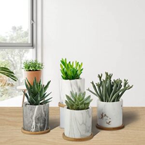 BUYMAX Succulent Plant Pots, 3.1 inch Marbling Ceramic Glazed Planters with Drainage Hole, Small Flower Pot Indoor with Bamboo Tray for Cactus, House Office Decor Gift - 6 Pack (Marble-B)