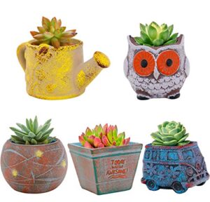 chenp.hmc planters set of 5 ceramic succulent planter pot with drainage,planting pot flower pots,small planter pots for garden,cactu,succulent pot(plants not included)…