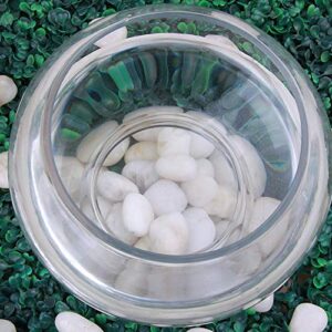 Rocks for Succulent Plants or Bonsai Garden, 3lb Bulk Bag – 1 inch 20-30mm White Decorative Gravel Pebbles for Plants