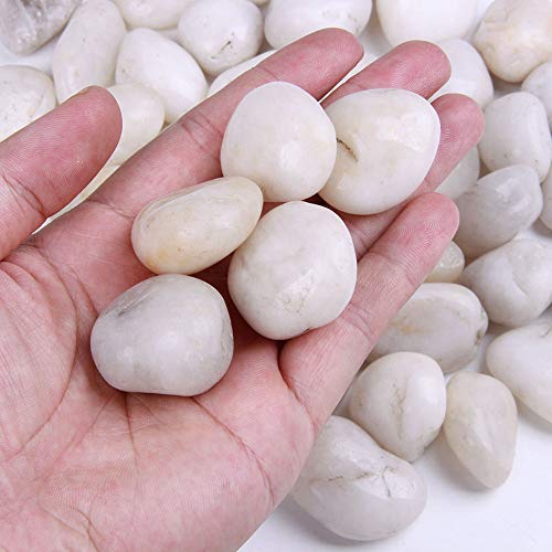 Rocks for Succulent Plants or Bonsai Garden, 3lb Bulk Bag – 1 inch 20-30mm White Decorative Gravel Pebbles for Plants