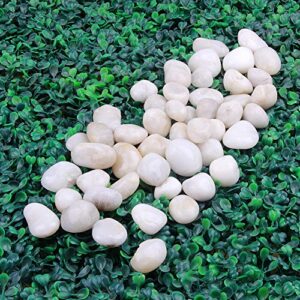 Rocks for Succulent Plants or Bonsai Garden, 3lb Bulk Bag – 1 inch 20-30mm White Decorative Gravel Pebbles for Plants