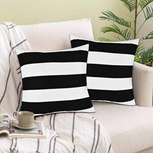 Yastouay Set of 2 Decorative Pillow Covers Square Stripe Pillow Covers Modern Farmhouse Cushion Case with Hidden Zipper Home Decor for Living Room Patio Sofa Couch Chair 20 x 20 Inch, Black