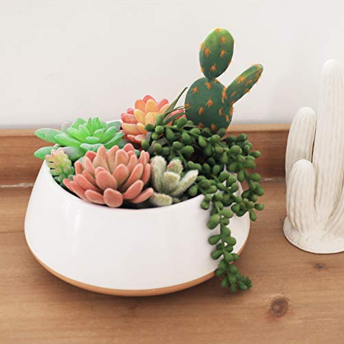 LA JOLIE MUSE Large Succulent Planter Plant Pots, Ceramic Indoor Outdoor Garden Pot with Drainage for Plant Flower, 8 Inch, Sandy Beige & White