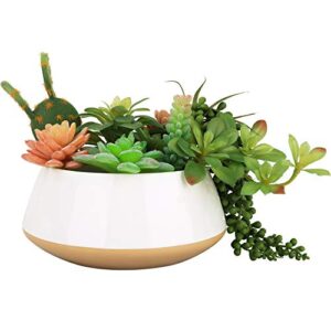 la jolie muse large succulent planter plant pots, ceramic indoor outdoor garden pot with drainage for plant flower, 8 inch, sandy beige & white