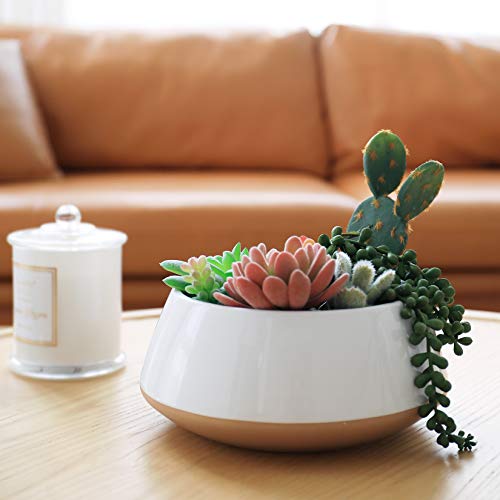 LA JOLIE MUSE Large Succulent Planter Plant Pots, Ceramic Indoor Outdoor Garden Pot with Drainage for Plant Flower, 8 Inch, Sandy Beige & White